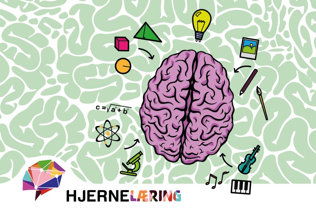 Hjernelæring på Skolerom! | Skolerom.no
